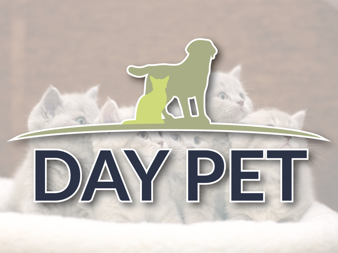 Day Pet Limited